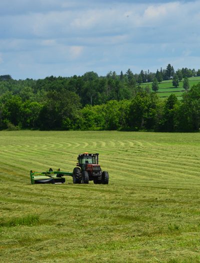 Ville de Cookshire Eaton - Un milieu de vie à échelle humaine - Ville ...